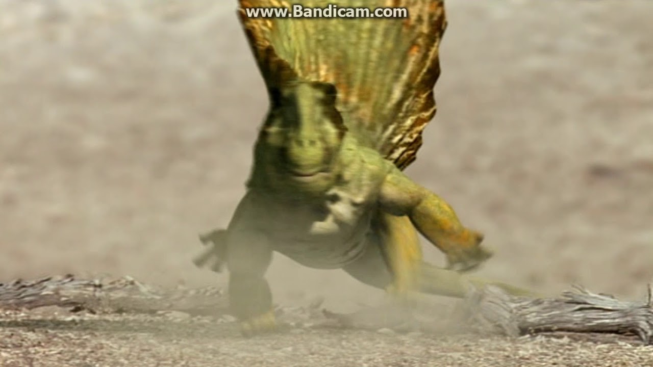 Dimetrodon attack part 1 - YouTube