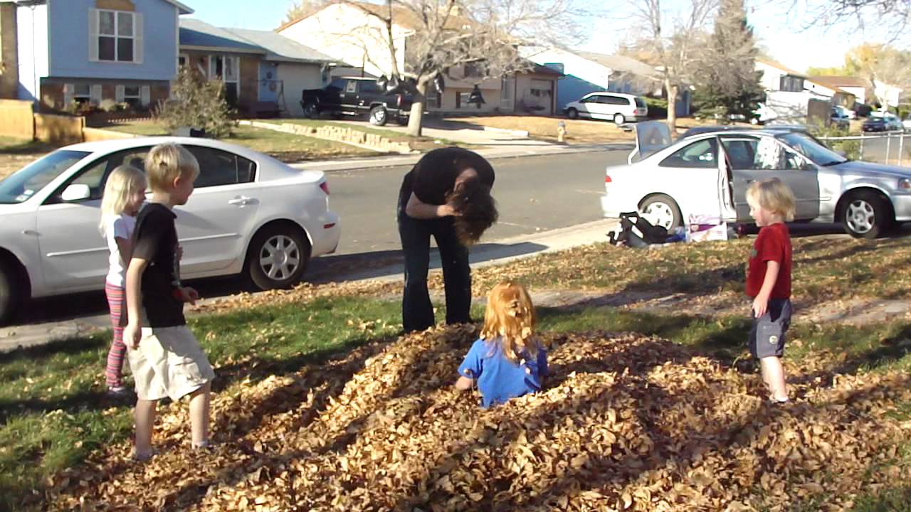 Leaf Fight! - YouTube