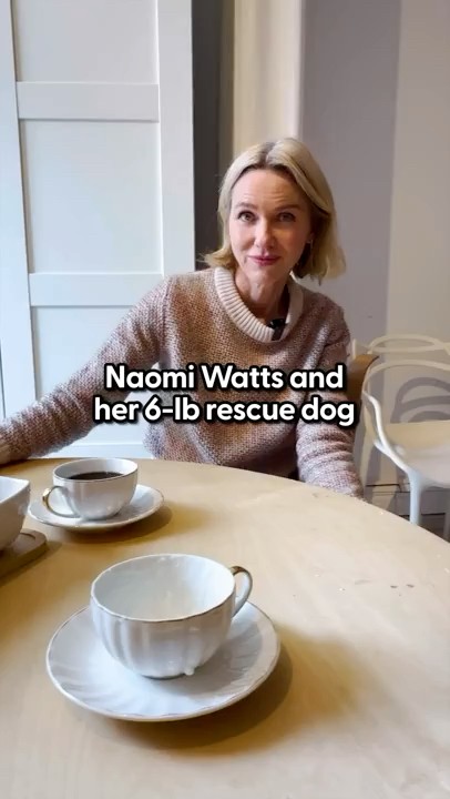 Naomi Watts And Her Tiny Rescue Dog | The Dodo - YouTube
