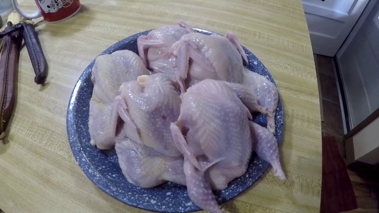 QUAIL PLUCKER IN ACTION - YouTube