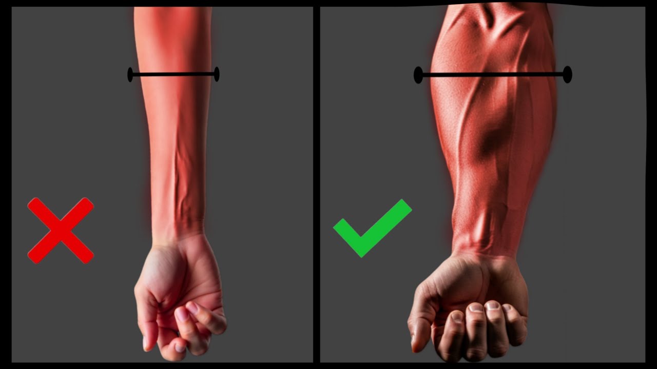 5 Perfect Forearms Exercises for Beginners | Grow Massive Forearms at ...