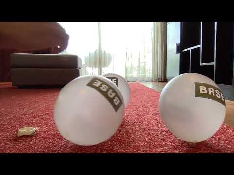 balloon pop/meletusin balon