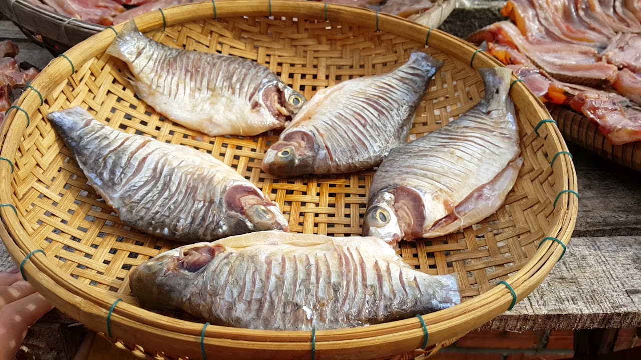 Try fish ...😍😍 - YouTube