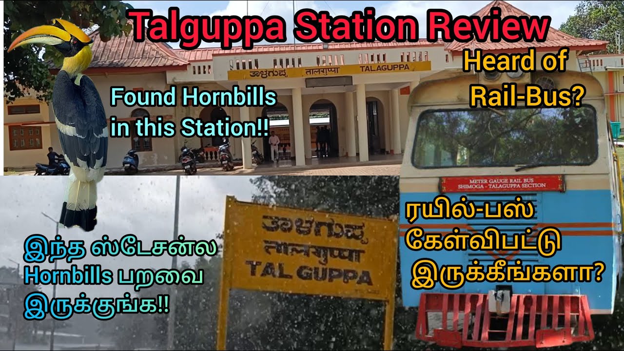 TALGUPPA RAILWAY STATION EXPLORING🚂 | THIS STATION HAS HORNBILLS ...
