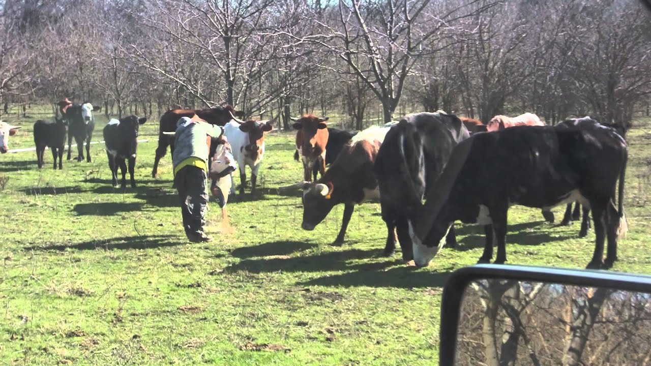 U.S.A lai caw zua tu( thawng tha pa) - YouTube