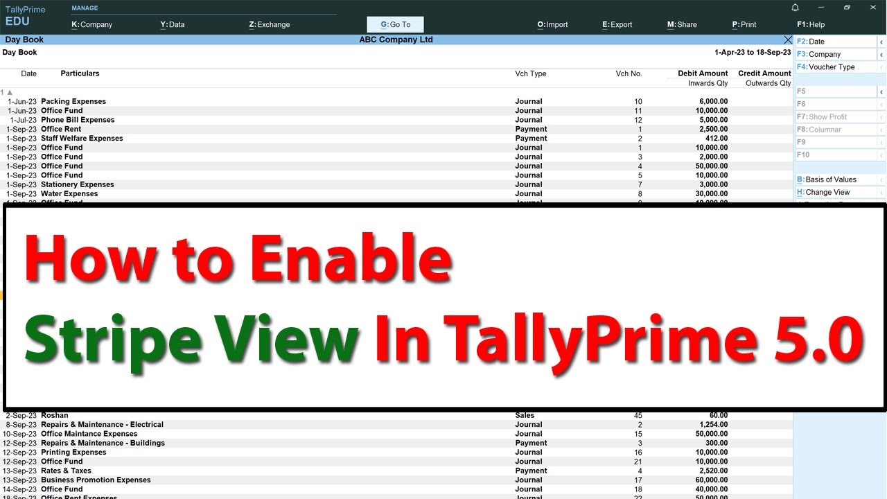 Stripe View In TallyPrime 5.0 - YouTube