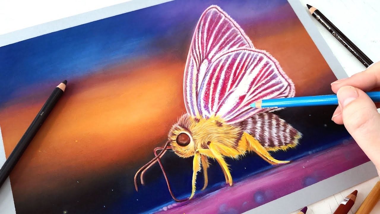 Pastel drawing tutorial! Colorful moth on Pastelmat - YouTube