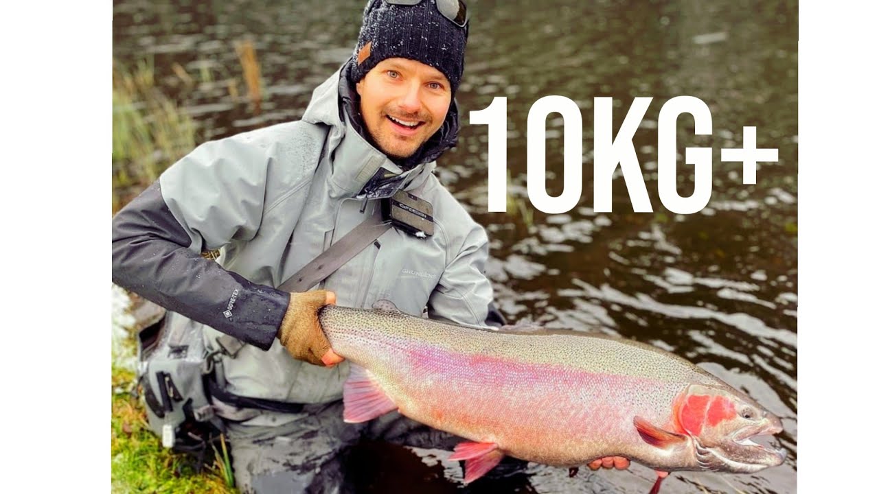 Regnbåge 10kg+! Flugfiske i Bergets sportfiske - YouTube
