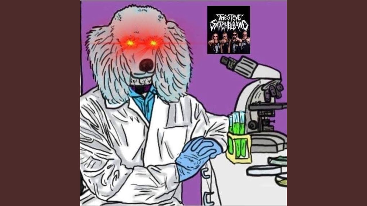 Poodle Science - YouTube