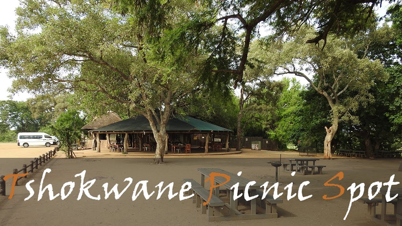 Tshokwane Picnic Spot Video Walkthrough, History, Between Skukuza ...