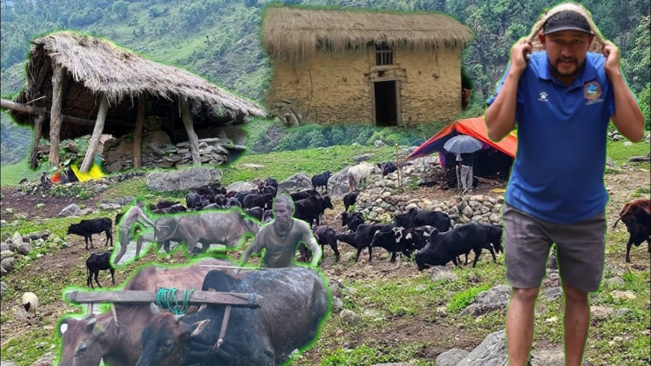 most peaceful and beautiful mountain village || activities ofpeople ...