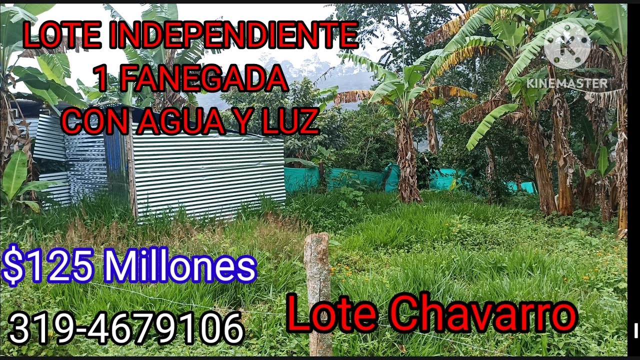 💵PRECIO $125 Millones (TERRENO INDEPENDIENTE UNA FANEGADA Alban ...