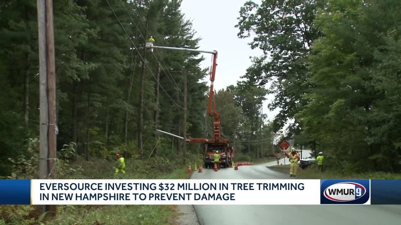 Eversource investing $32 million in tree trimming in NH to prevent ...