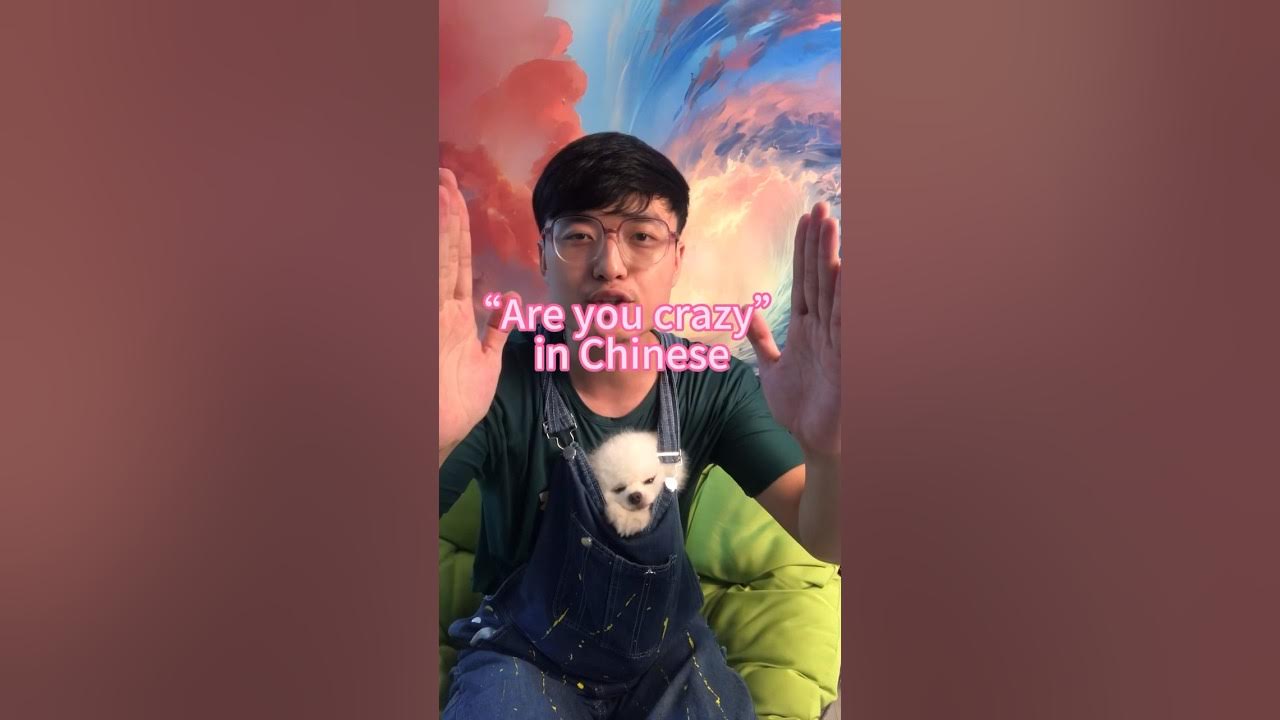 How Do You Say Are You Crazy In Chinese learningchinese how-do-you-say-are-you-crazy-in-chinese-learningchinese