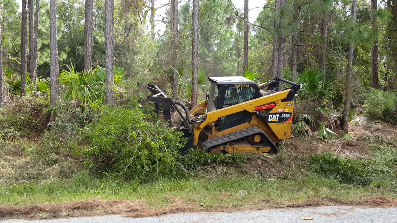Forestry Mulching / Lot Clearing - YouTube