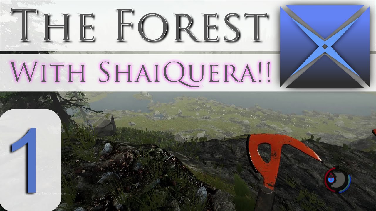 The Forest!! (With ShaiQuera) Episode 1: Darkness Falls!! - YouTube