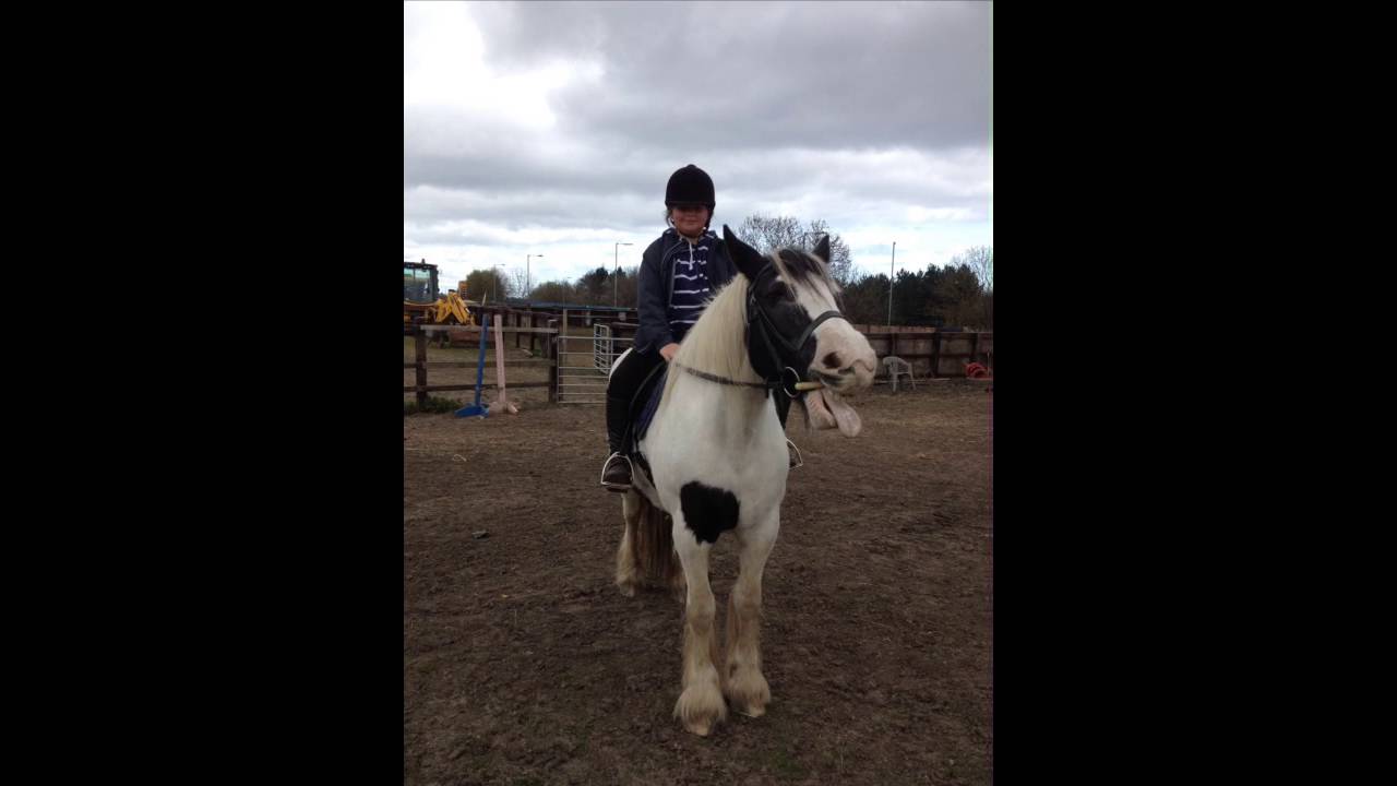 Riding at BEBSIDE HORSES ️ - YouTube