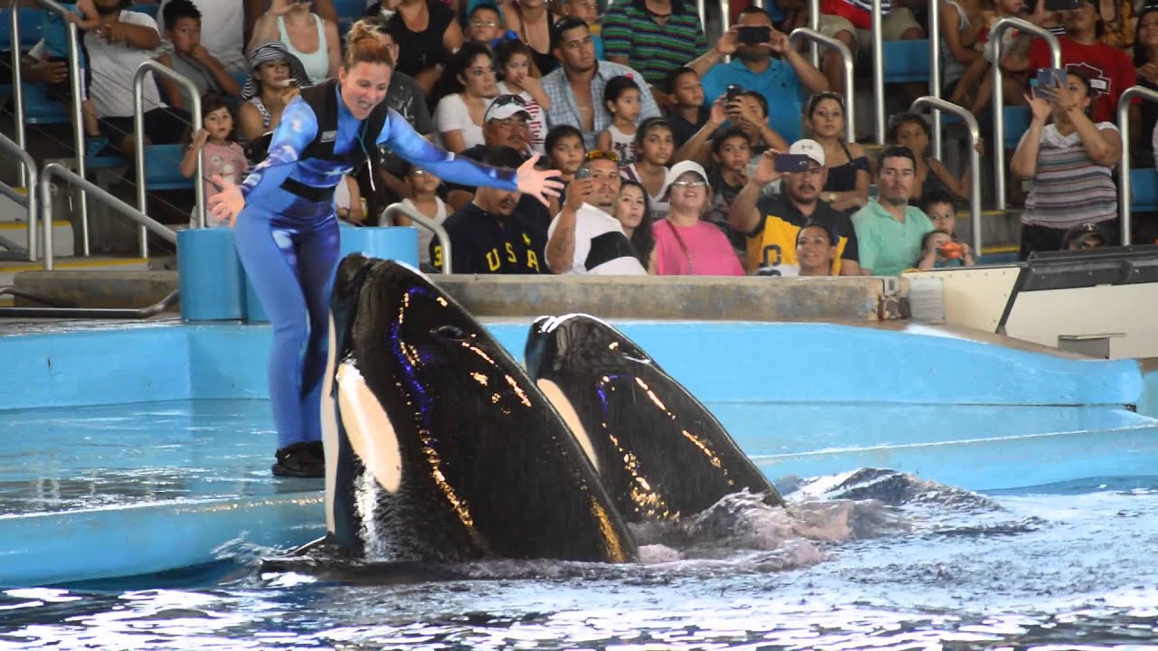 Takara, Sakari, & Kamea. - July 4,2014 One Ocean SeaWorld San Antonio ...