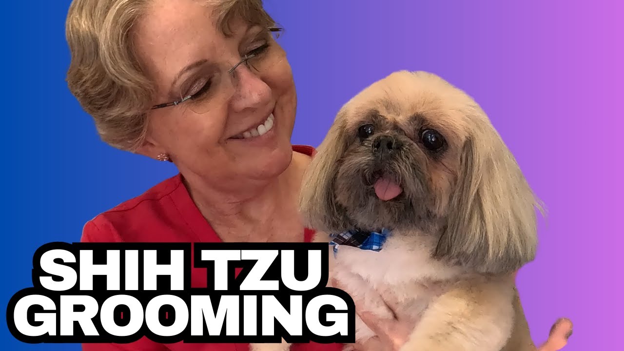 Grooming This Jawless Dog | Shih Tzu | Snooks - YouTube