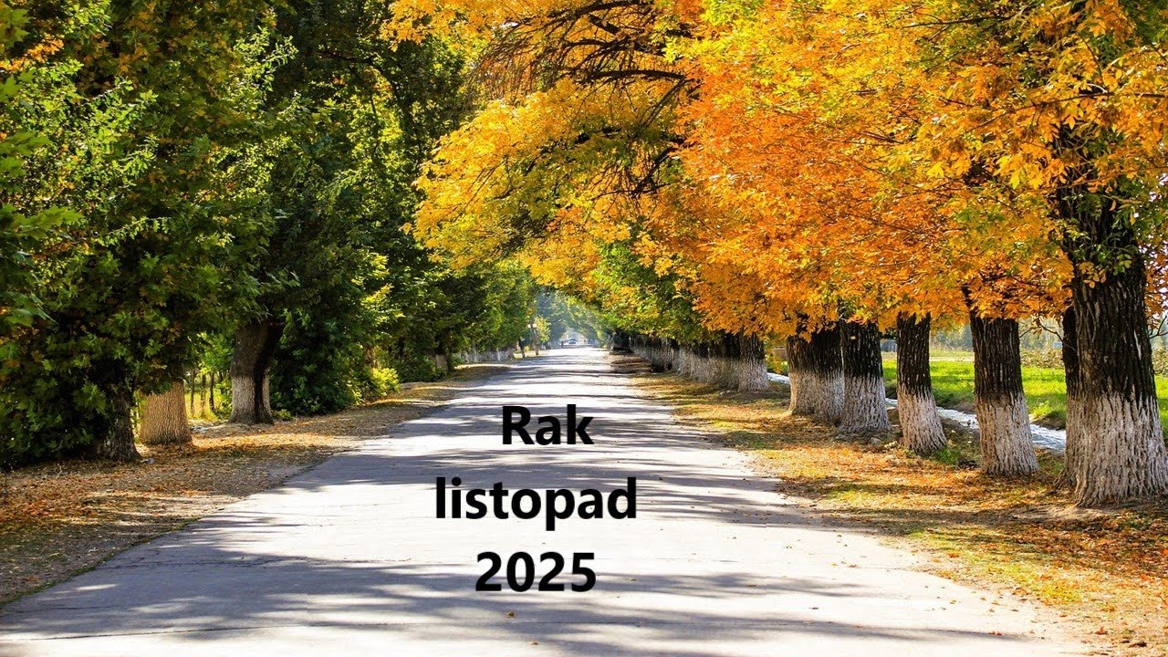 Rak listopad 2025 - YouTube