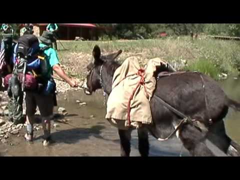 2009 Philmont burro - YouTube