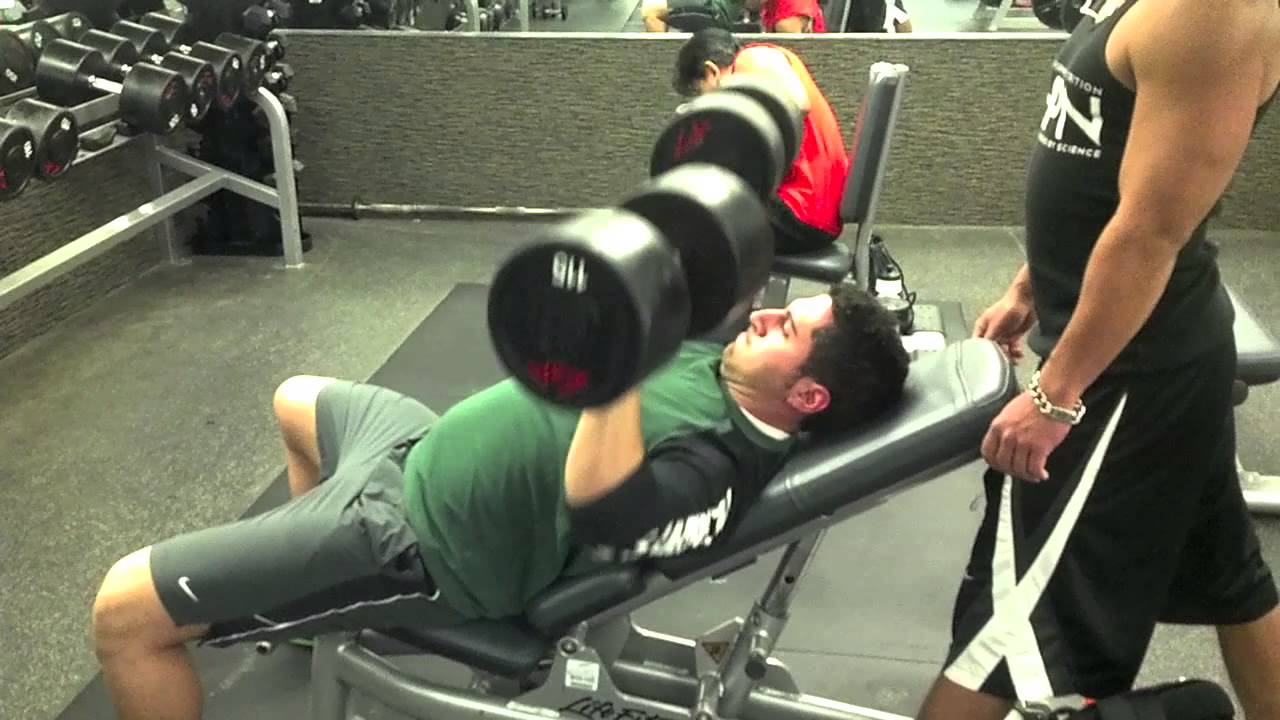 Sean Torbati - High Performance Nutrition - DB Press - YouTube