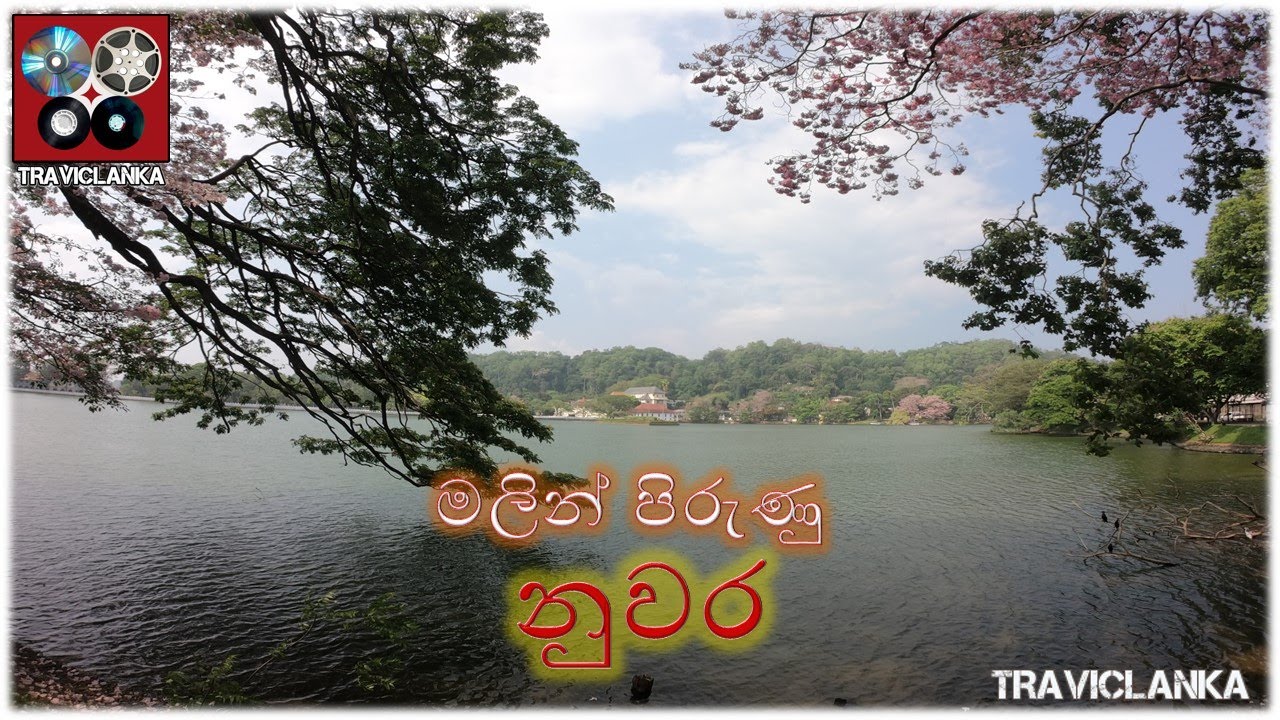Kandy City With Beautiful Flowers|මලින් පිරුණු නුවර - YouTube