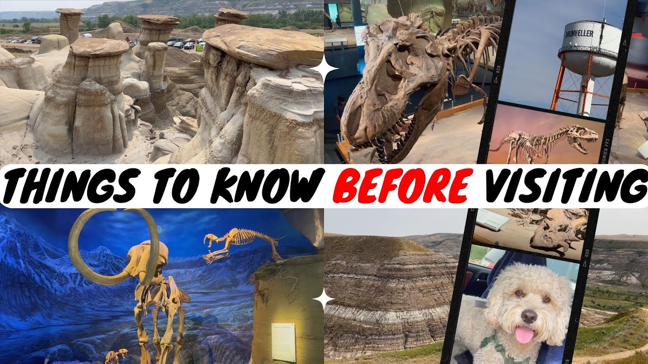 Visiting the Dinosaur Capital of the World! (you wouldn't expect to ...