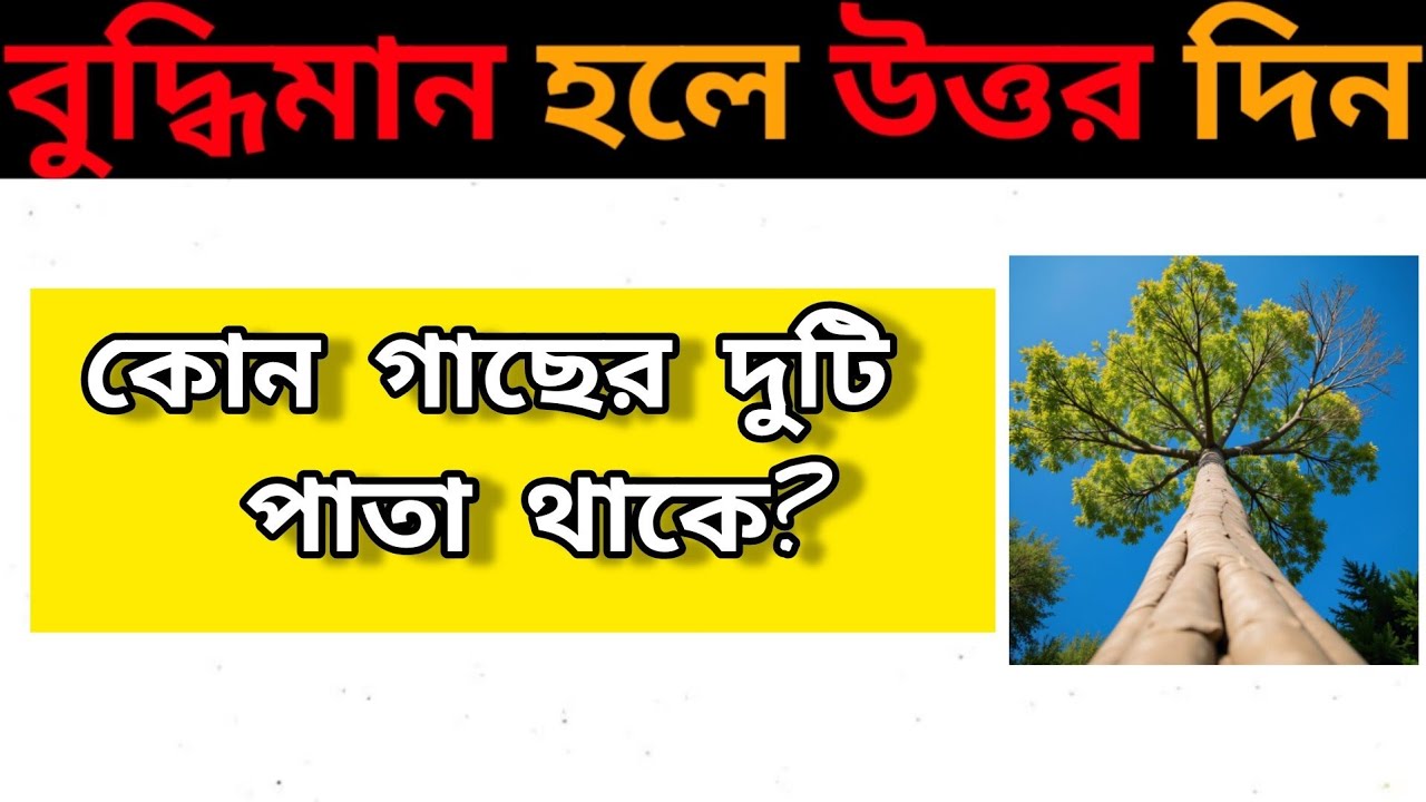 Bangla dhadha question and answers || dhadha bangla || dhadha || ধাঁধা ...