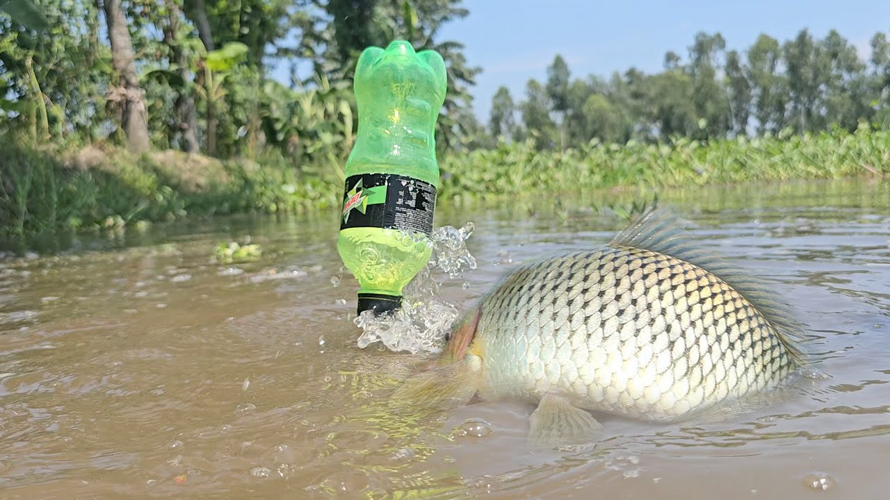 Plastic Bottle Fishing Technique - Village Boy Catching Fish Using ...