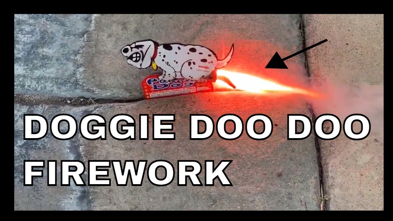 POOPING DOG FIREWORK - YouTube