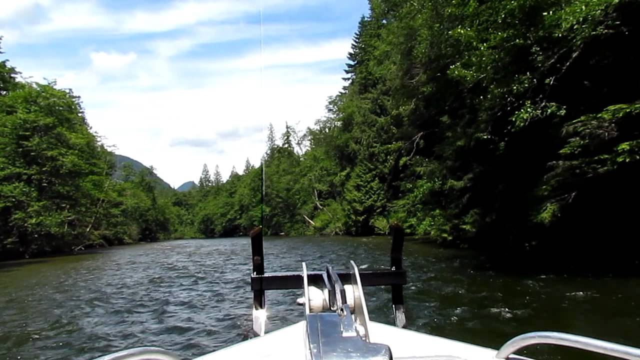 Southern BC Steelhead River - YouTube
