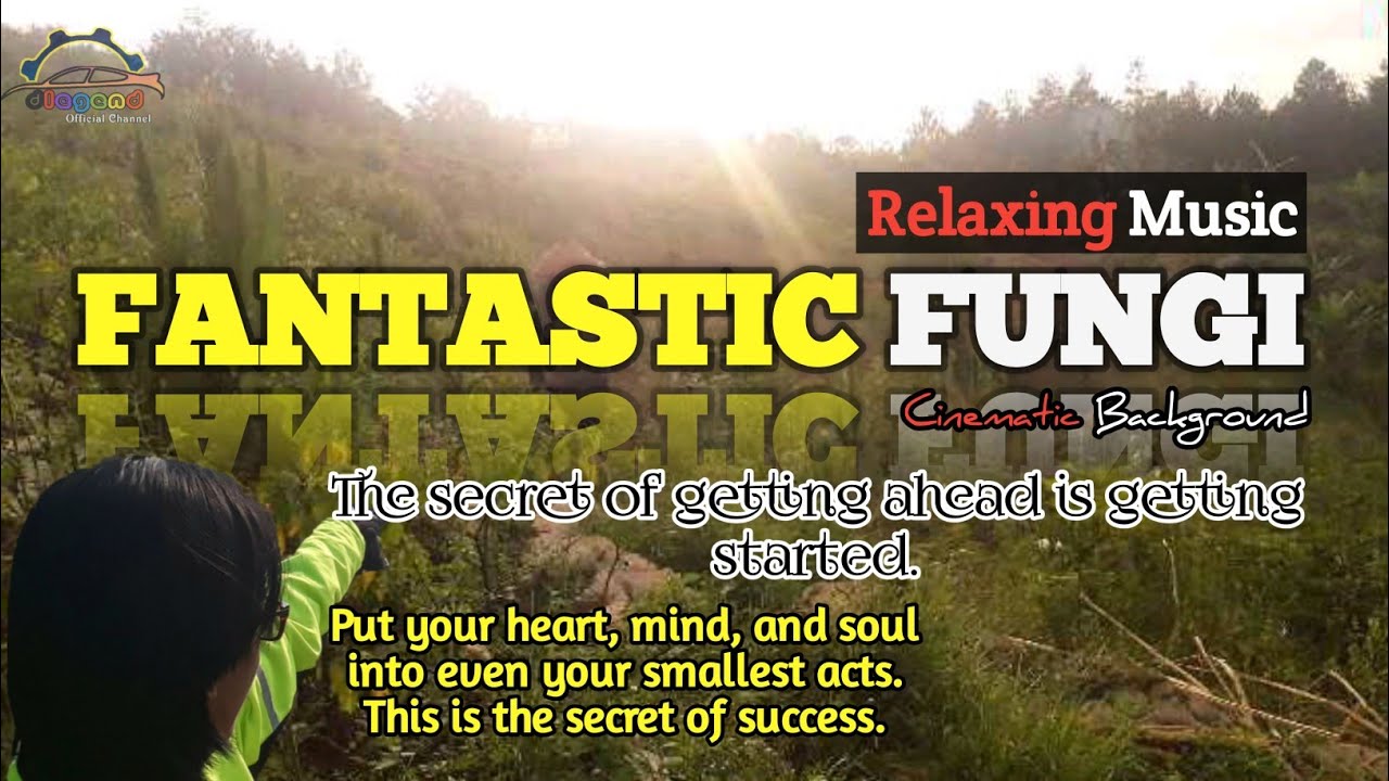 Fantastic fungi: relaxing music soft piano music, Healing, meditation ...