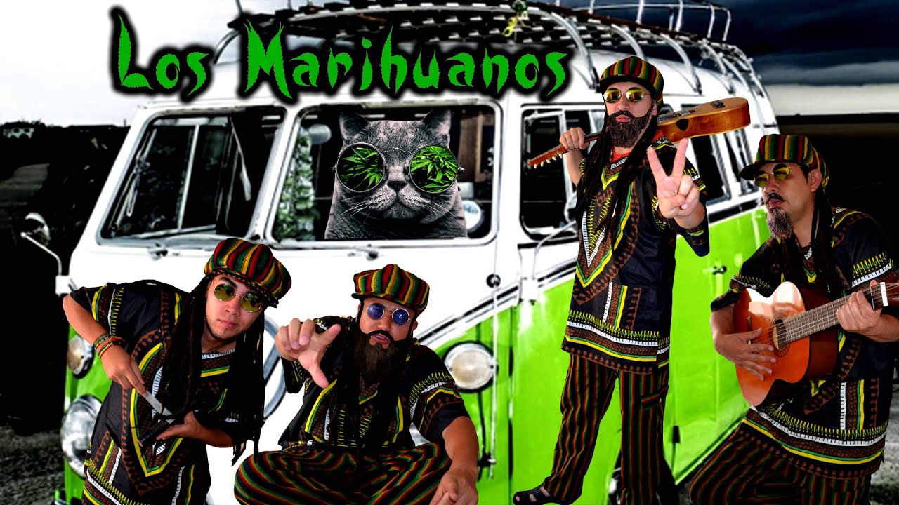 EL GATO MARIHUANERO -LOS MARIHUANOS - YouTube