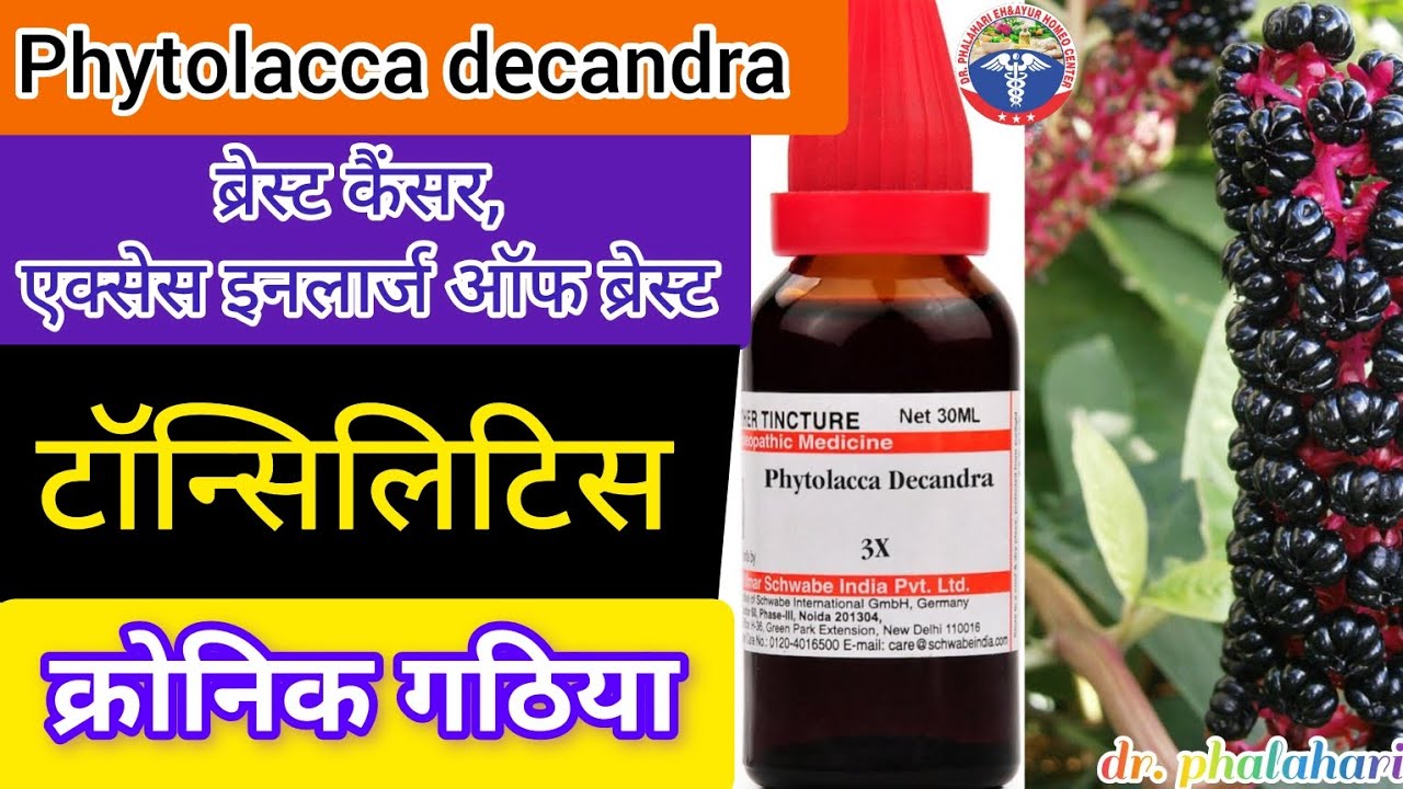 phytolacca decandra uses in hindi|homeopathy medicine phytolacca ...