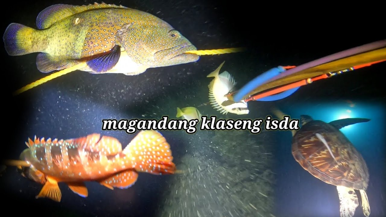 Masarap na isda catch and cook | Fresh overload #amazingGod - YouTube