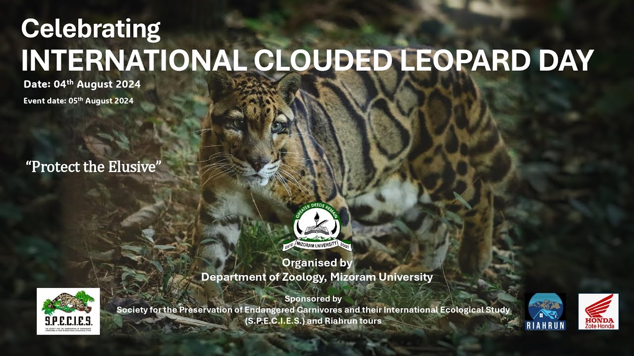 International Clouded Leopard Day Celebration (Session I) - YouTube