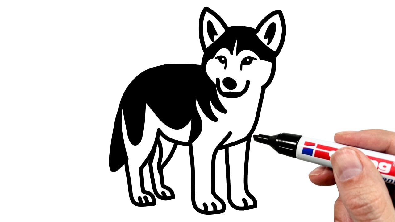 How to Draw a Dingo - YouTube