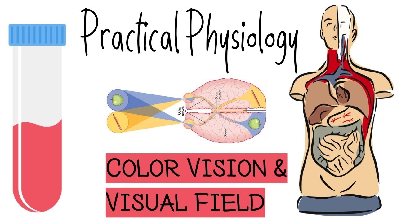 Physiology | Practical | Color Vision & Visual Field - YouTube