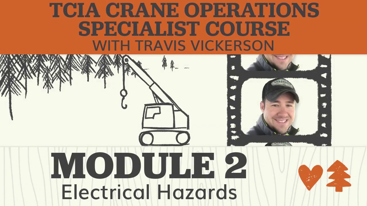 How to Stay Safe Around Electrical Hazards when Removing Trees with a ...