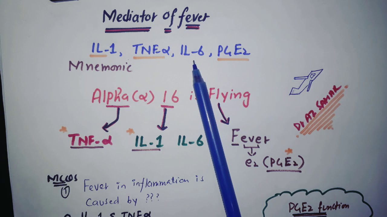 Mnemonic for mediator of Fever with mcqs - YouTube