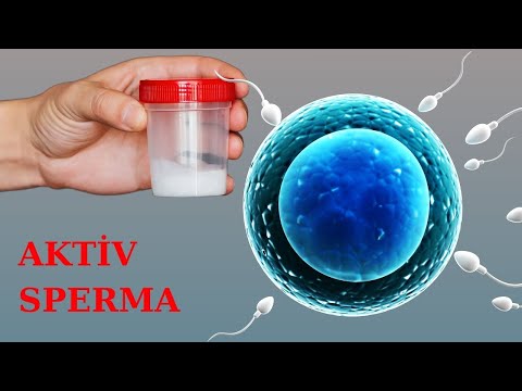 Aktiv Sperma Üçün Bunları Mütləq Edin!