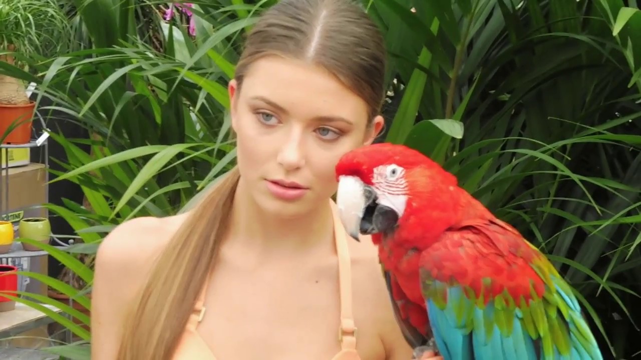 TEASER AMAZING SHOOTING - Swiss Modelling School. - YouTube