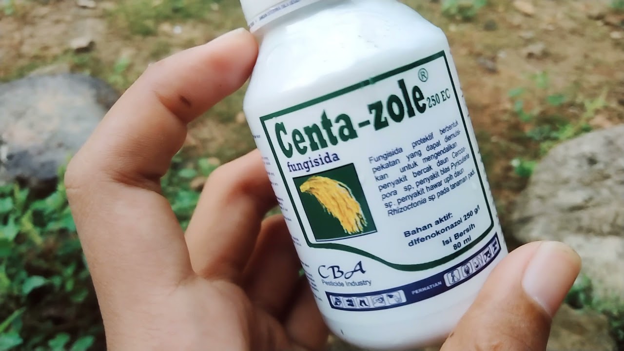 Tutorial memilih obat bercak daun pada tanaman padi centa-zole 250EC ...