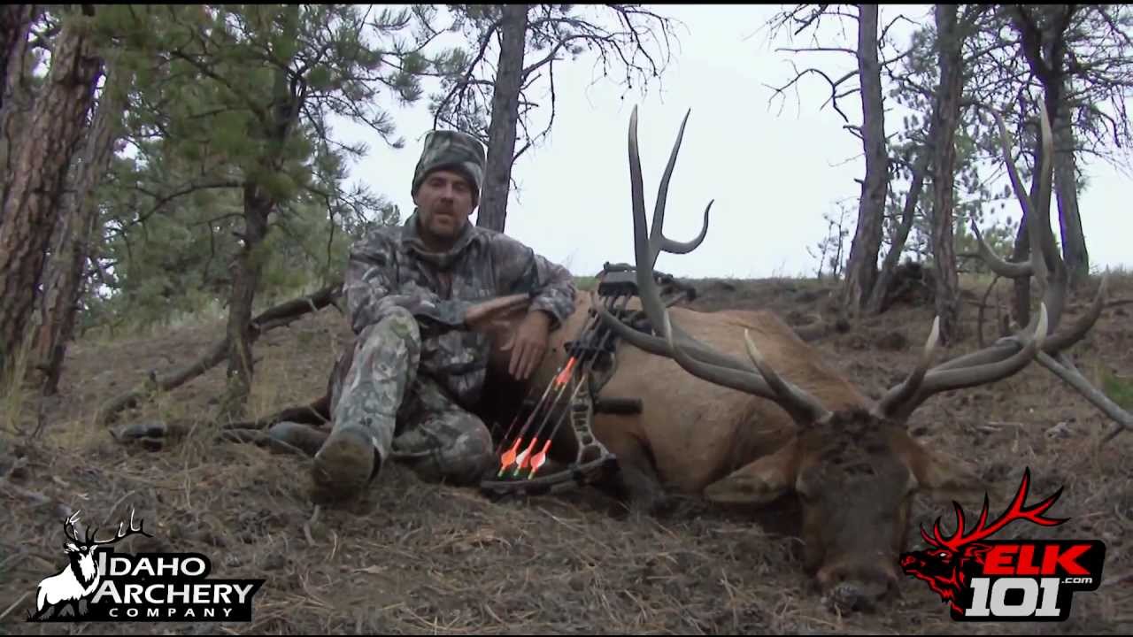 Elk101.com Webisode #18 - Jim Brennan Elk Hunt - YouTube