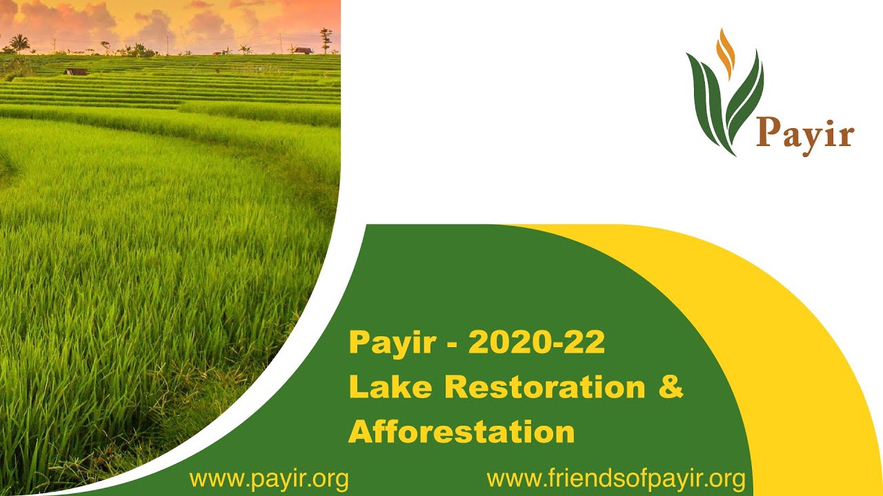 Payir Lake Restoration┃Payir Trust - YouTube