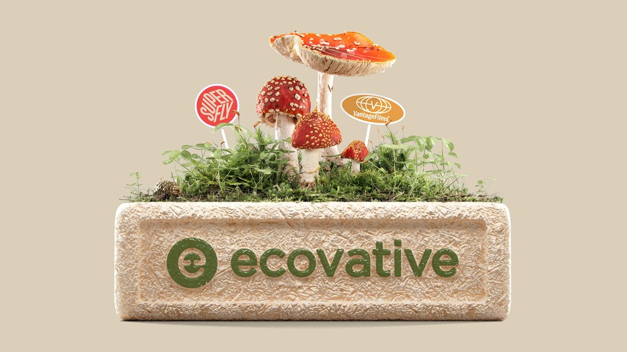 Ecovative Brand Film - YouTube