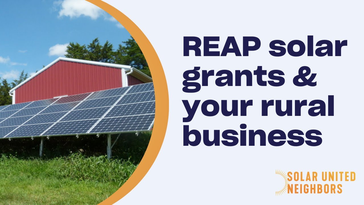 REAP solar grants & your rural business (August 2023) - YouTube