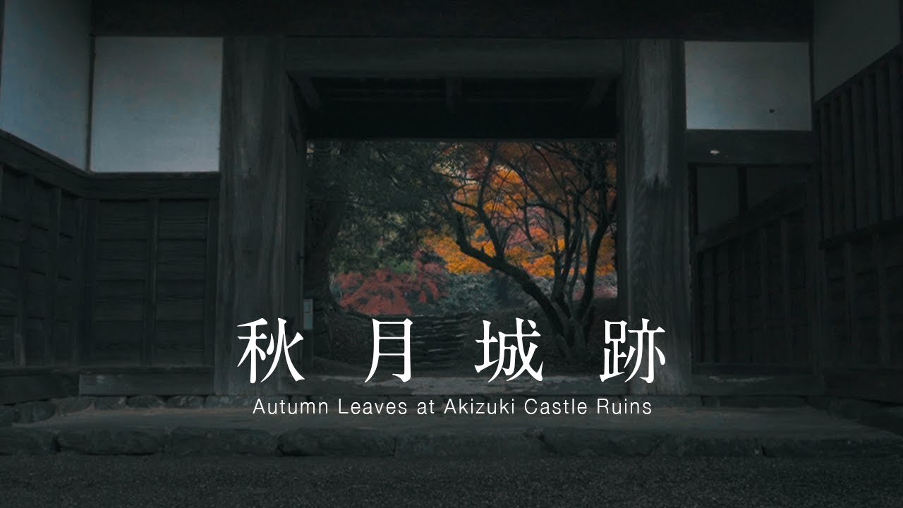 紅葉の秋月城跡 | Autumn Leaves at Akizuki Castle Ruins - YouTube