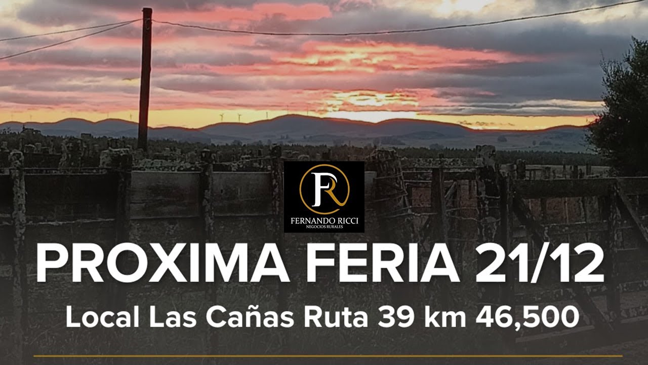 2024-12-21 LOCAL LAS CAÑAS | Fernando Ricci - YouTube